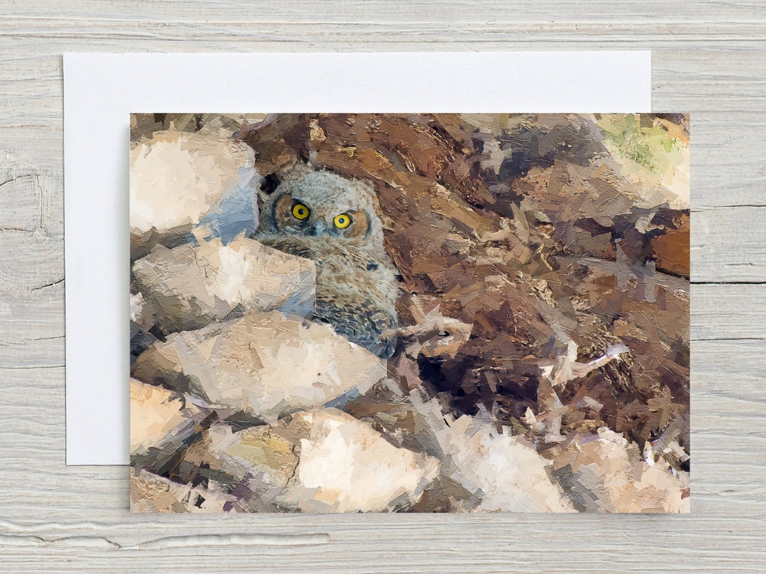Great Horned Owl Fledgling, Original Art, 5x7 Note Card With Envelope ...