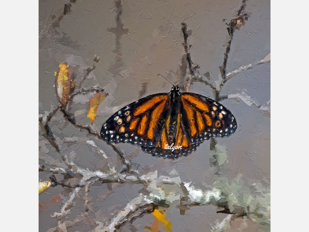 MONARCH BUTTERFLY, Fine Art Print, Butterfly Print, Nature, Garden ...