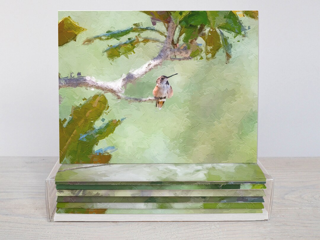 Hummingbird Box Set, Original Art, 5x7 Note Cards With Envelopes, Blank ...