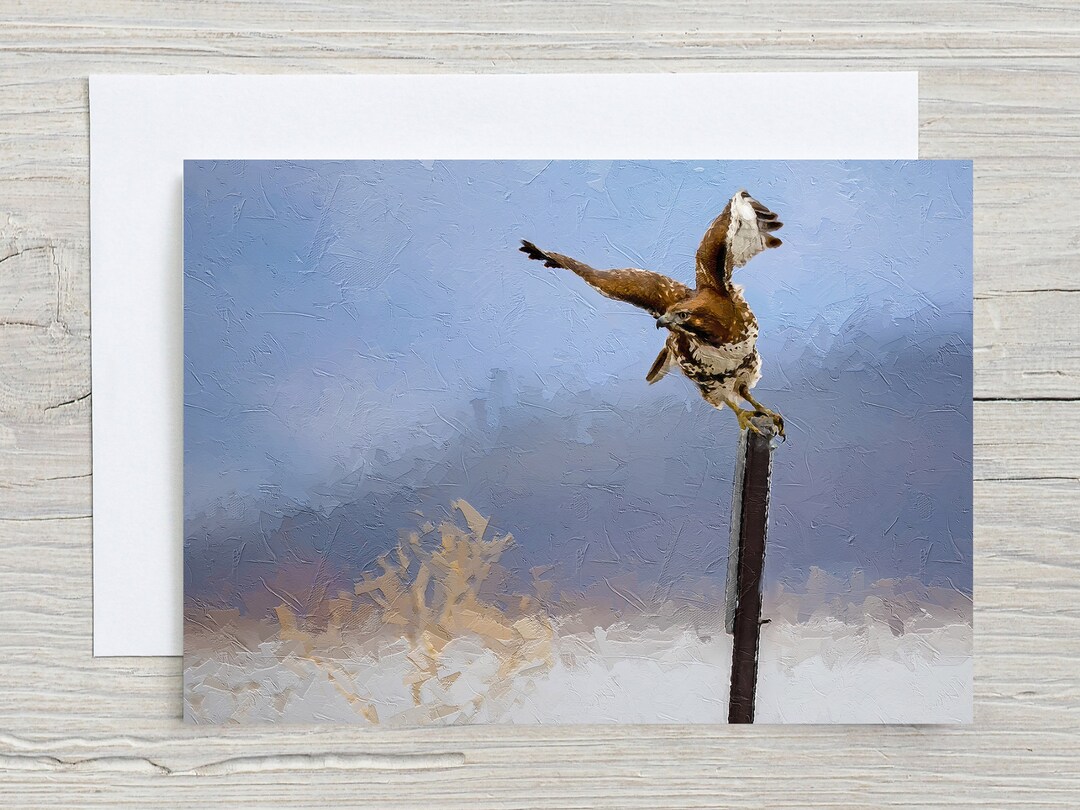 Red-tailed Hawk, Original Art, 5x7 Note Card With Envelope, Blank ...