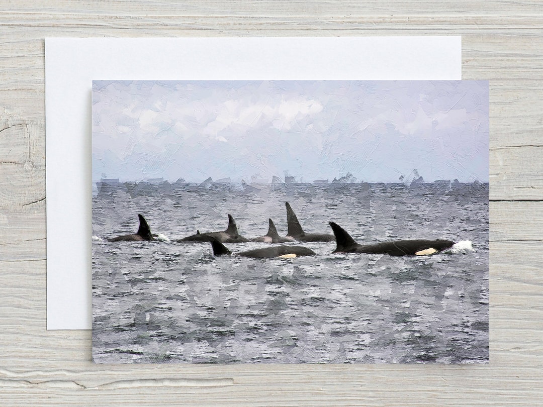 Orca Pod, Original Art, 5x7 Note Card With Envelope, Blank Inside - Etsy