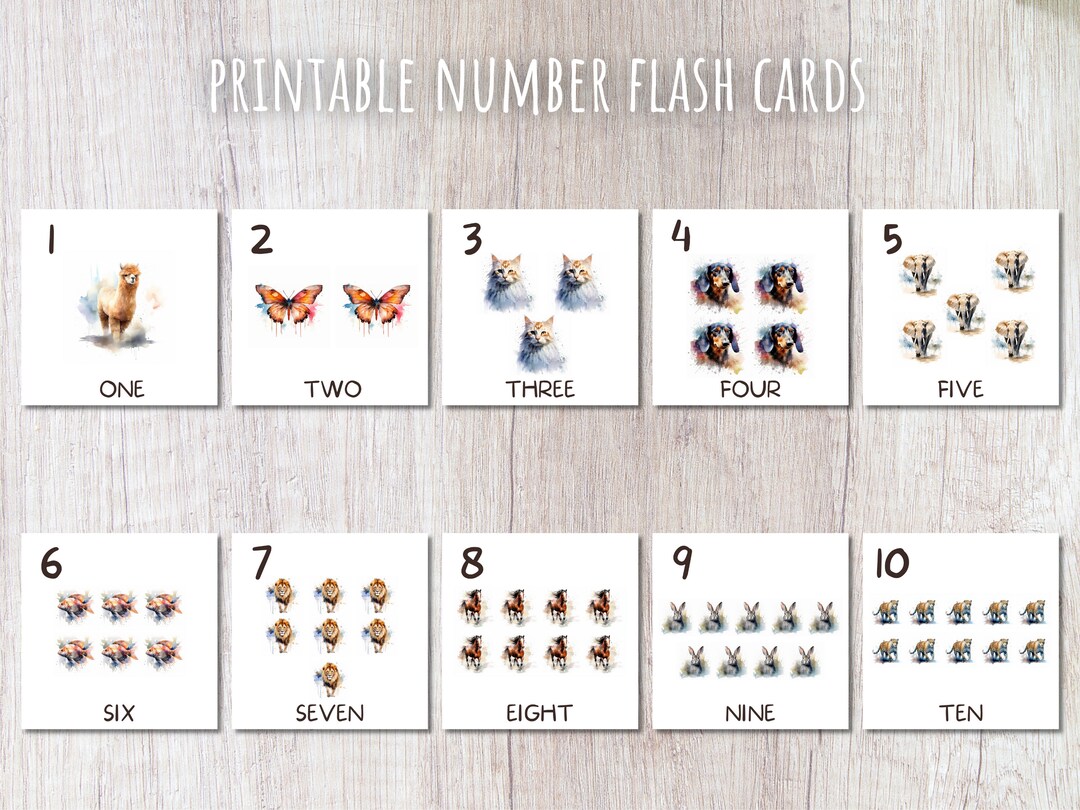 Number Flash Cards Classroom Decor Preschool Early Learning - Etsy UK