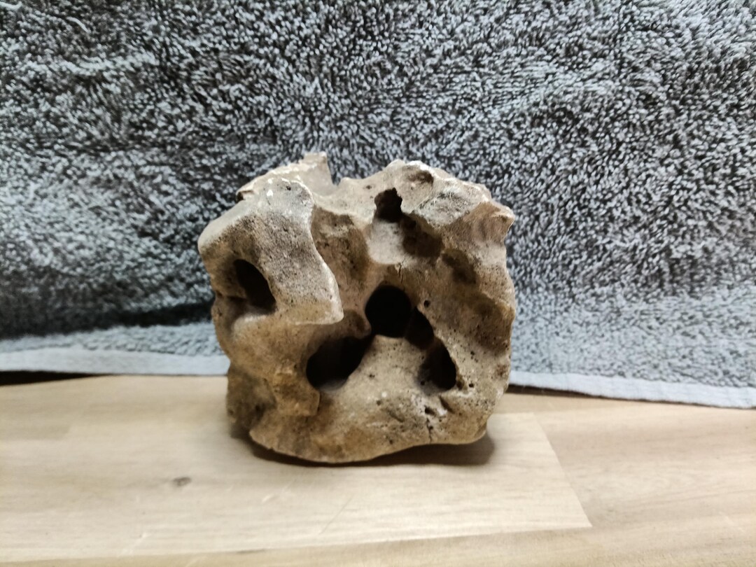 Holey Rock - Natural Texas Limestone - Aquariums, Terrariums ...