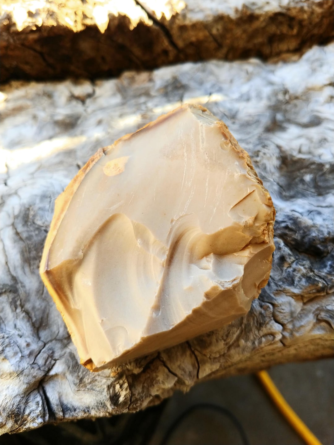 Texas Flint Mineral Specimen - HI GRADE - Beautiful Single Stone - Etsy