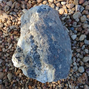 Bizarre Texas River Rock HUGE, Brainy Vesicular Druzzy Crystals ...