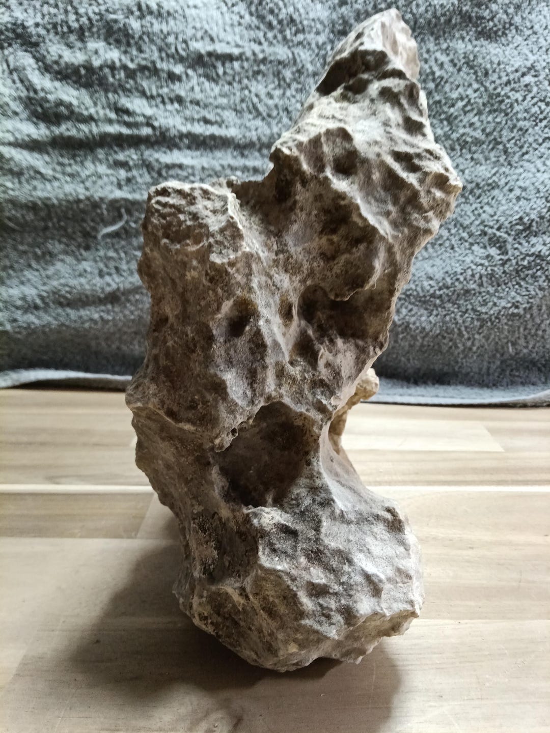 Holey Rock - Natural Texas Limestone - Aquariums, Terrariums ...