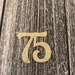 75th Birthday Anniversary Party Glitter Table Confetti Decorations - Etsy