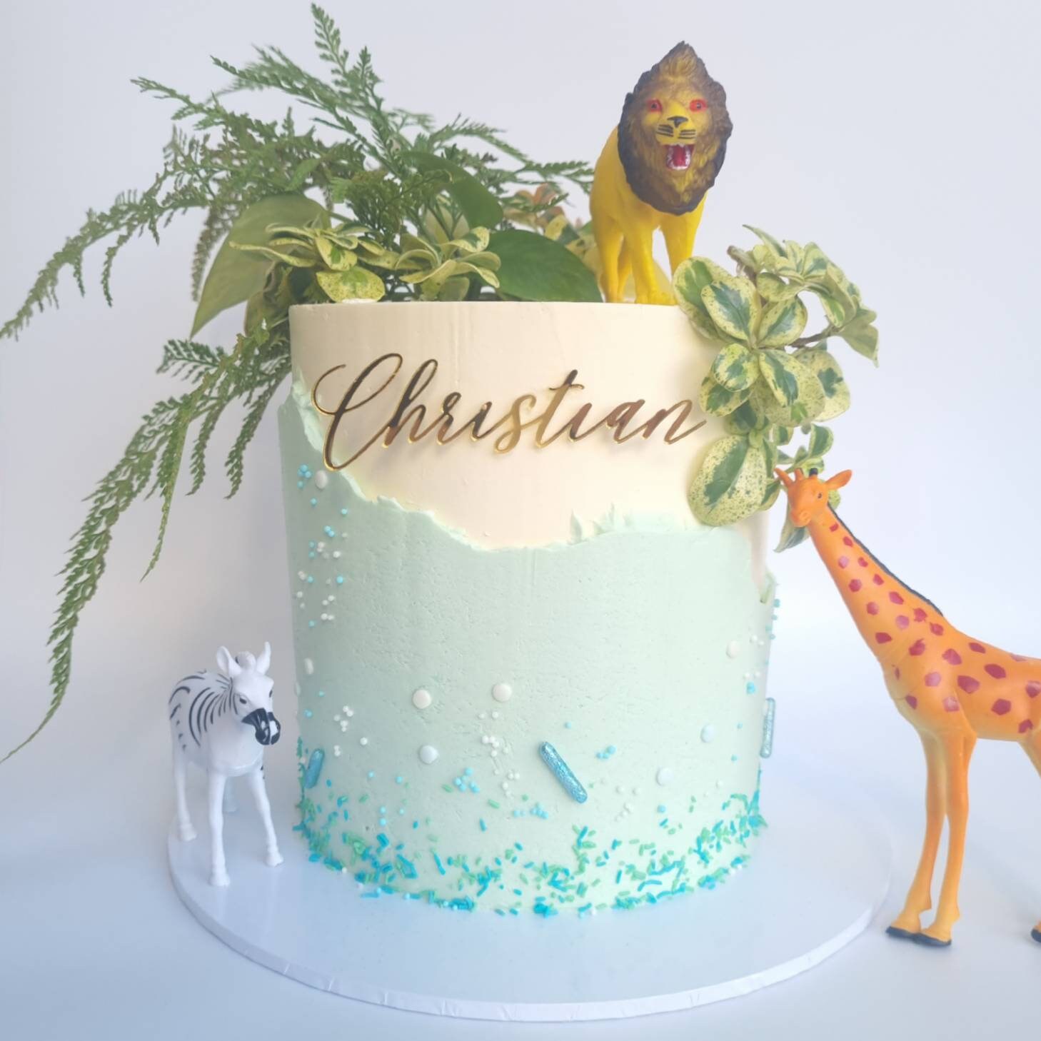 Acrylic Cake Topper Fropper Front Bake Baking Decorate Decorations ...