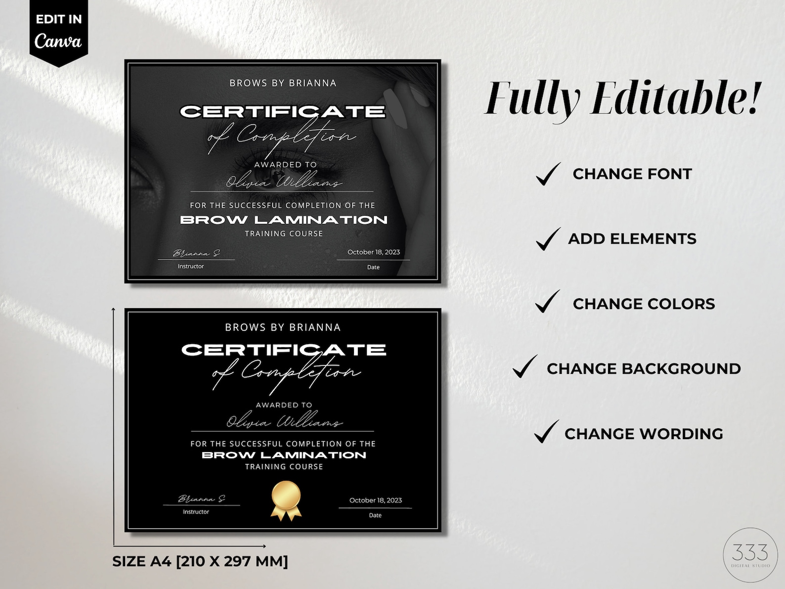 Editable Certificate of Completion Template, Editable Training ...