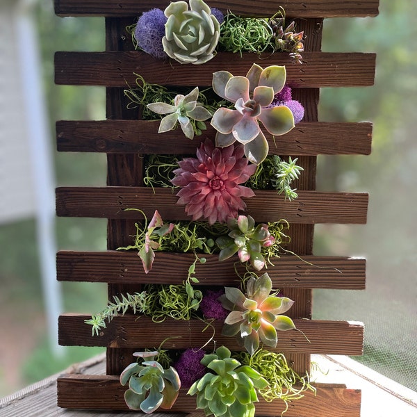 Moss Arrangement - Etsy