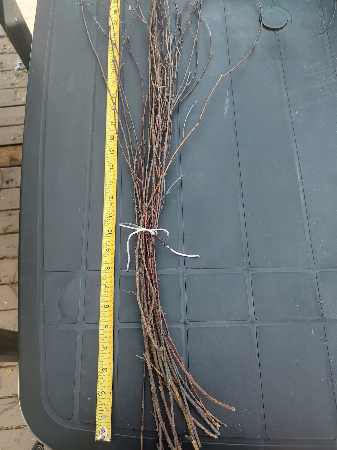 Birch Twigs Bunch - Extra Long (24"+) - Etsy