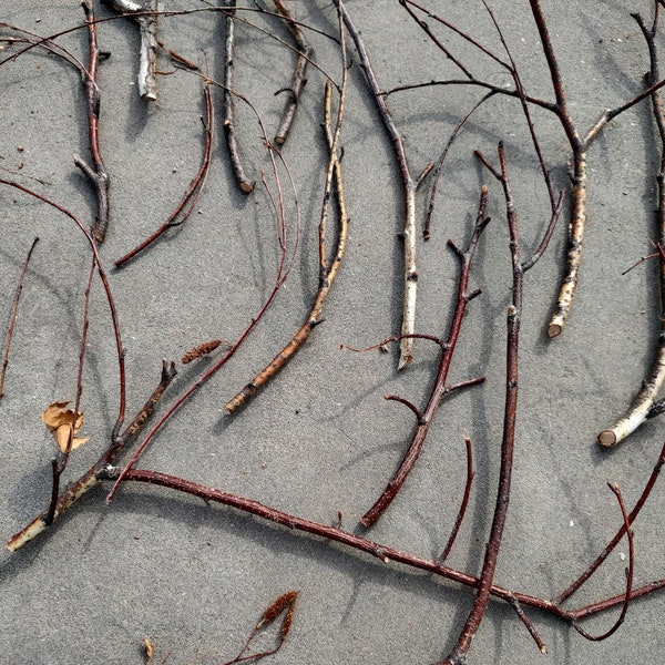 Twig Bundle - Etsy