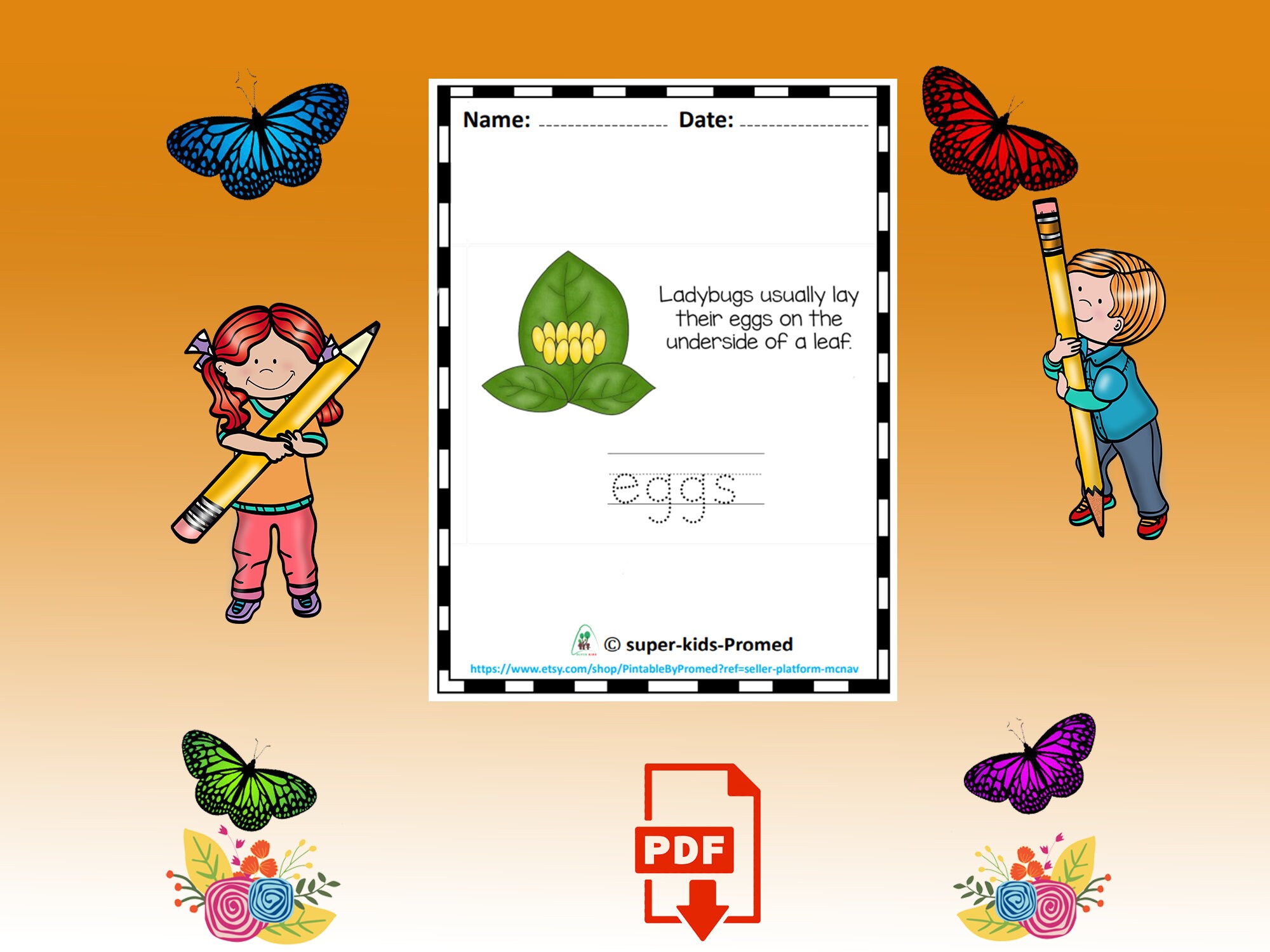 Life Cycle of a Ladybird for Kids,frog Life Cycle Printable Bundle ...