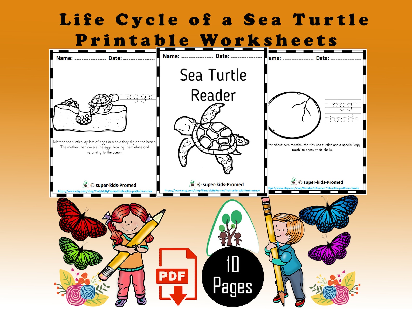 Life Cycle of a Sea Turtle for Kids Printable Reader,life Cycles and ...