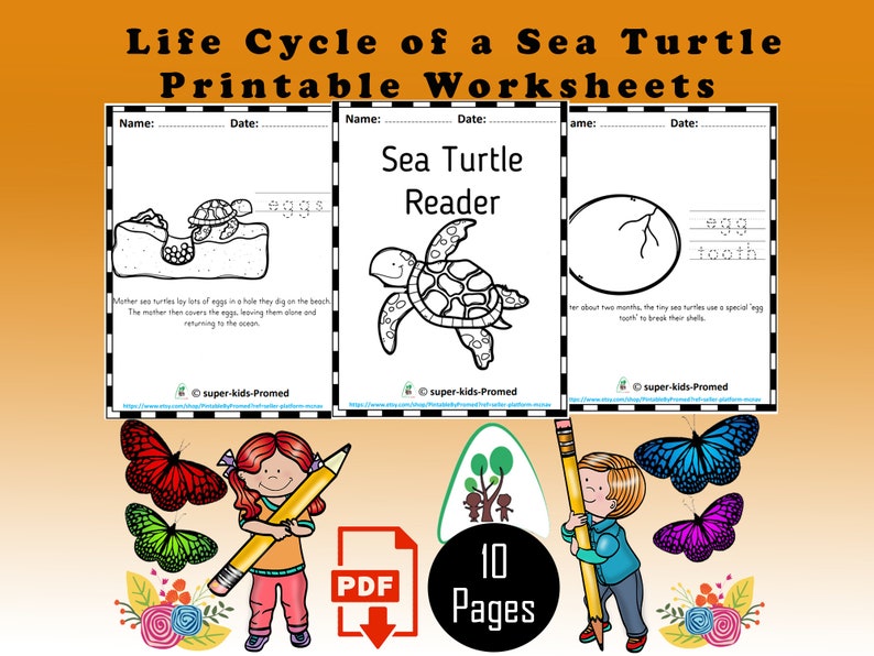 Life Cycle of a Sea Turtle for Kids Printable Reader,life Cycles and ...