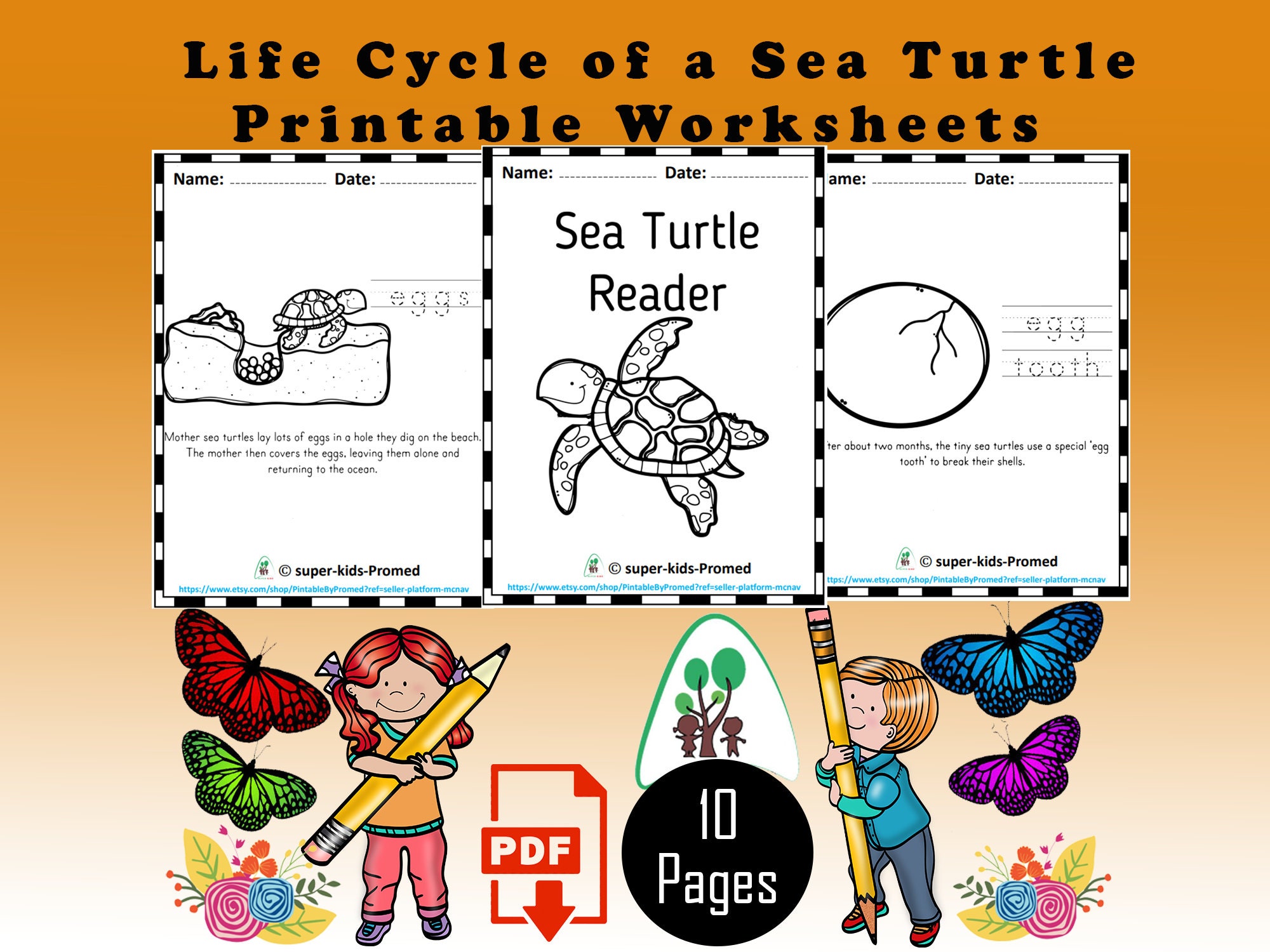 Life Cycle of a Sea Turtle for Kids Printable Reader,life Cycles and ...