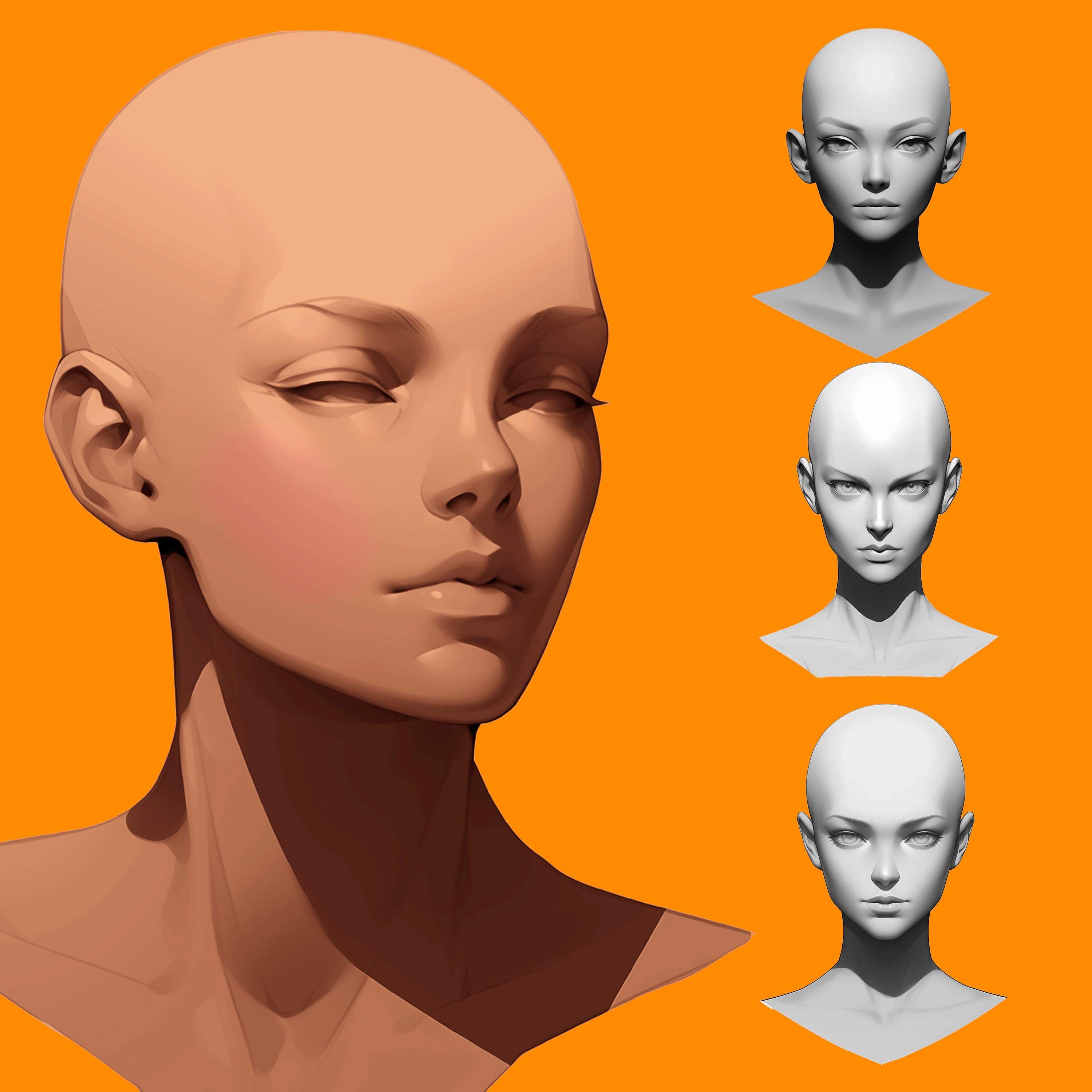 3d Head Stamp Brushes for Procreate, Procreate Skin Tone, Procreate ...
