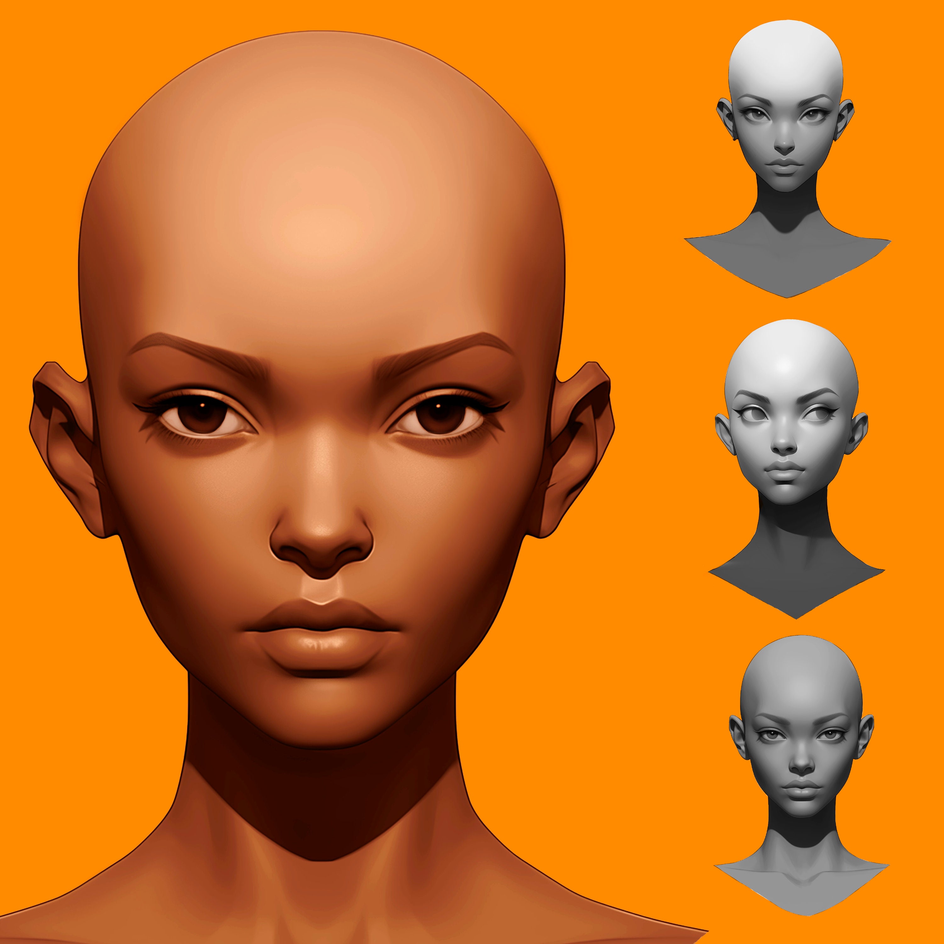 3d Head Stamp Brushes for Procreate, Procreate Skin Tone, Procreate ...