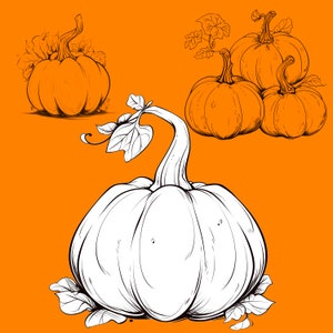 300 Halloween Pumpkin Stamp Brushes for Procreate (brushset Digital ...