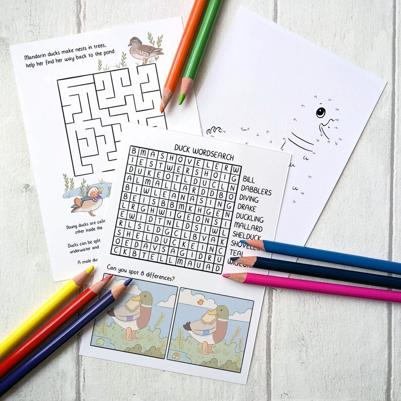 Printable Duck Activity Sheets, Wildlife Themed Children's Activity ...