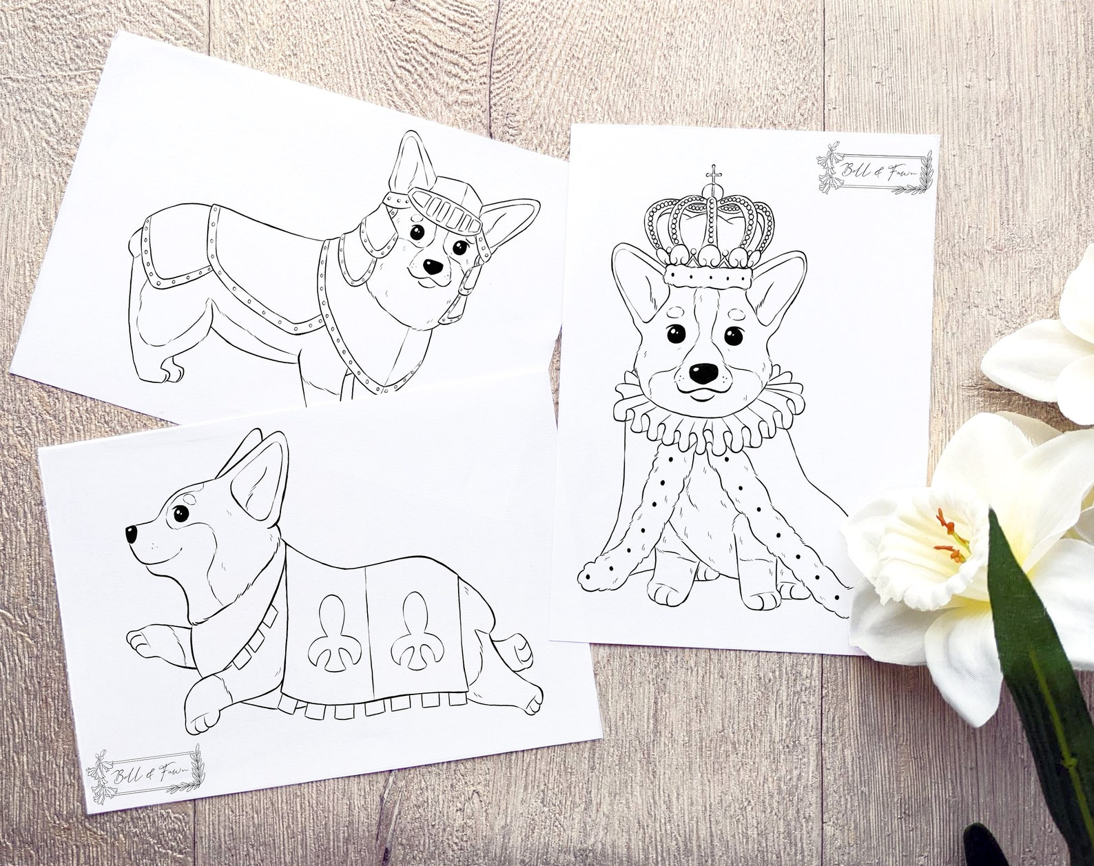 Printable Royal Corgi Colouring Pages, Medieval Dogs Colouring Sheets ...