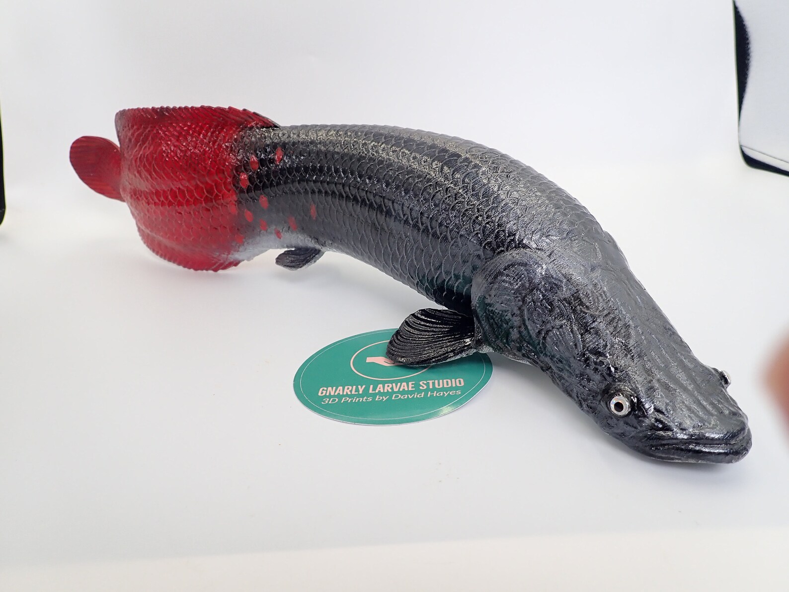Arapaima, Pirarucu, 3D Printed and Hand Painted Model, 18in - Etsy