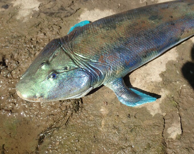 Tiktaliik (the Fishapod) Model, 3D Print, Handpainted, 18in (450mm) - Etsy