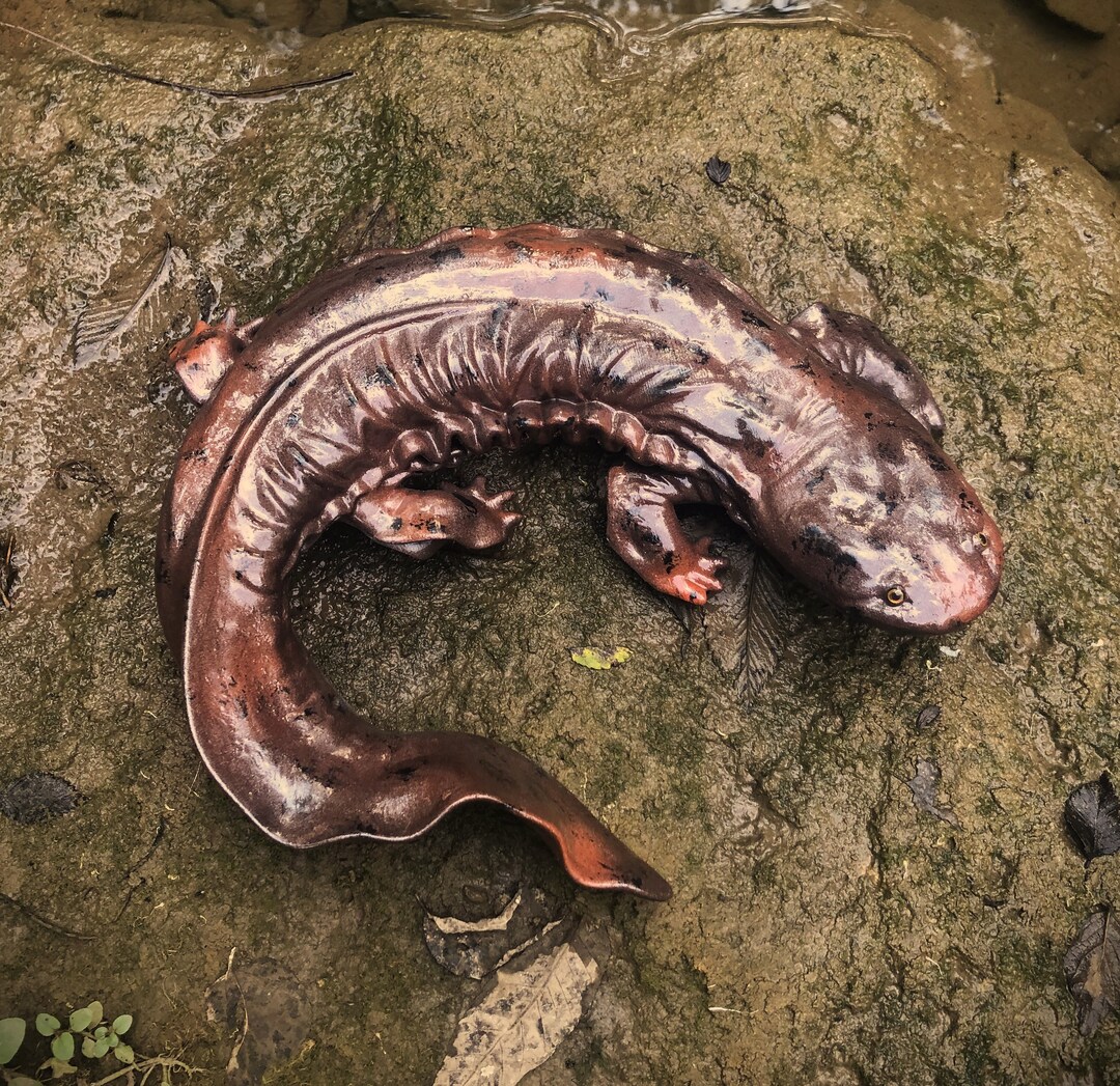 Hellbender (cryptobranchus Alleganiensis) Model, Life Sized, 3D Print ...