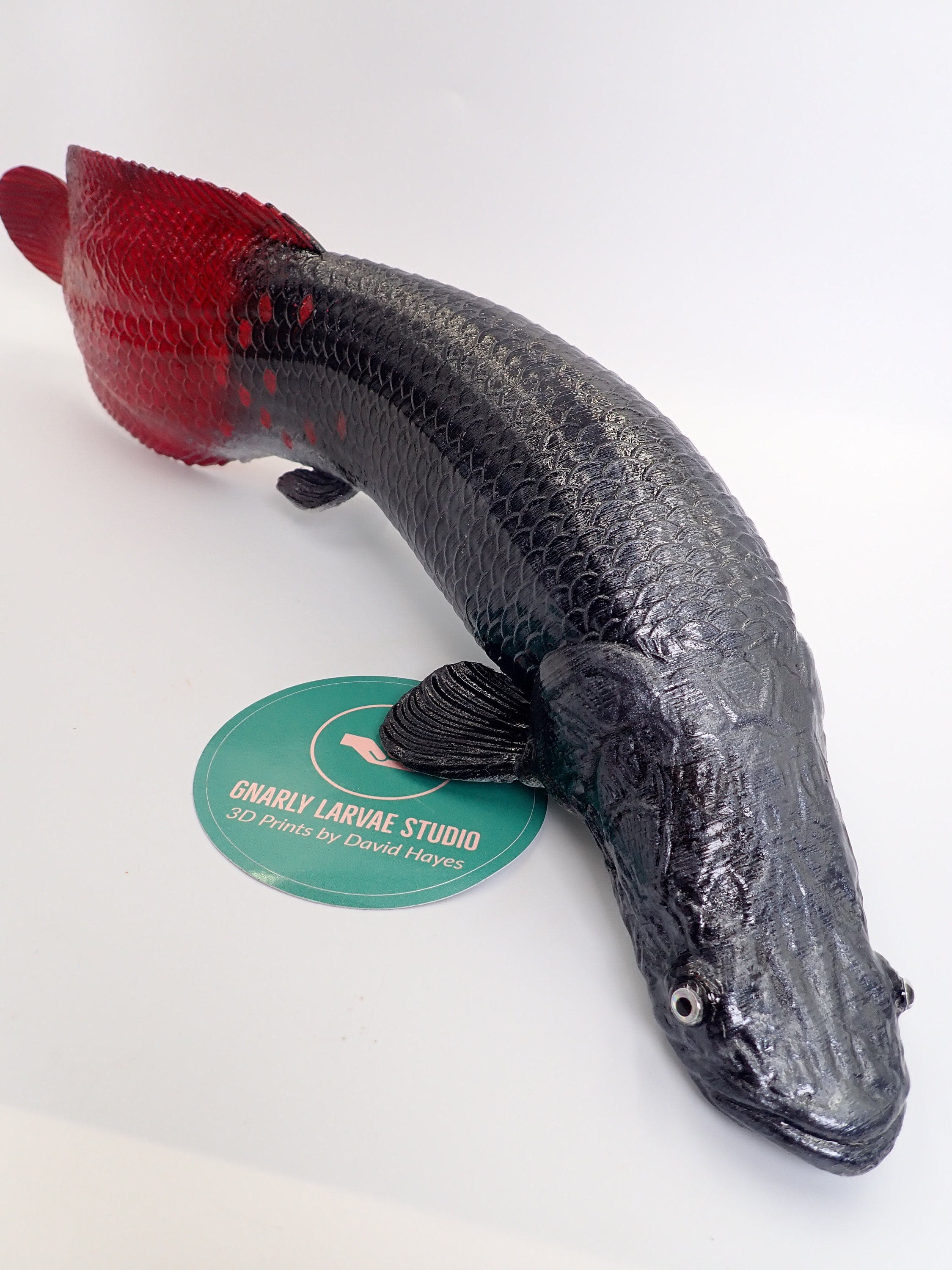 Arapaima, Pirarucu, 3D Printed and Hand Painted Model, 18in - Etsy