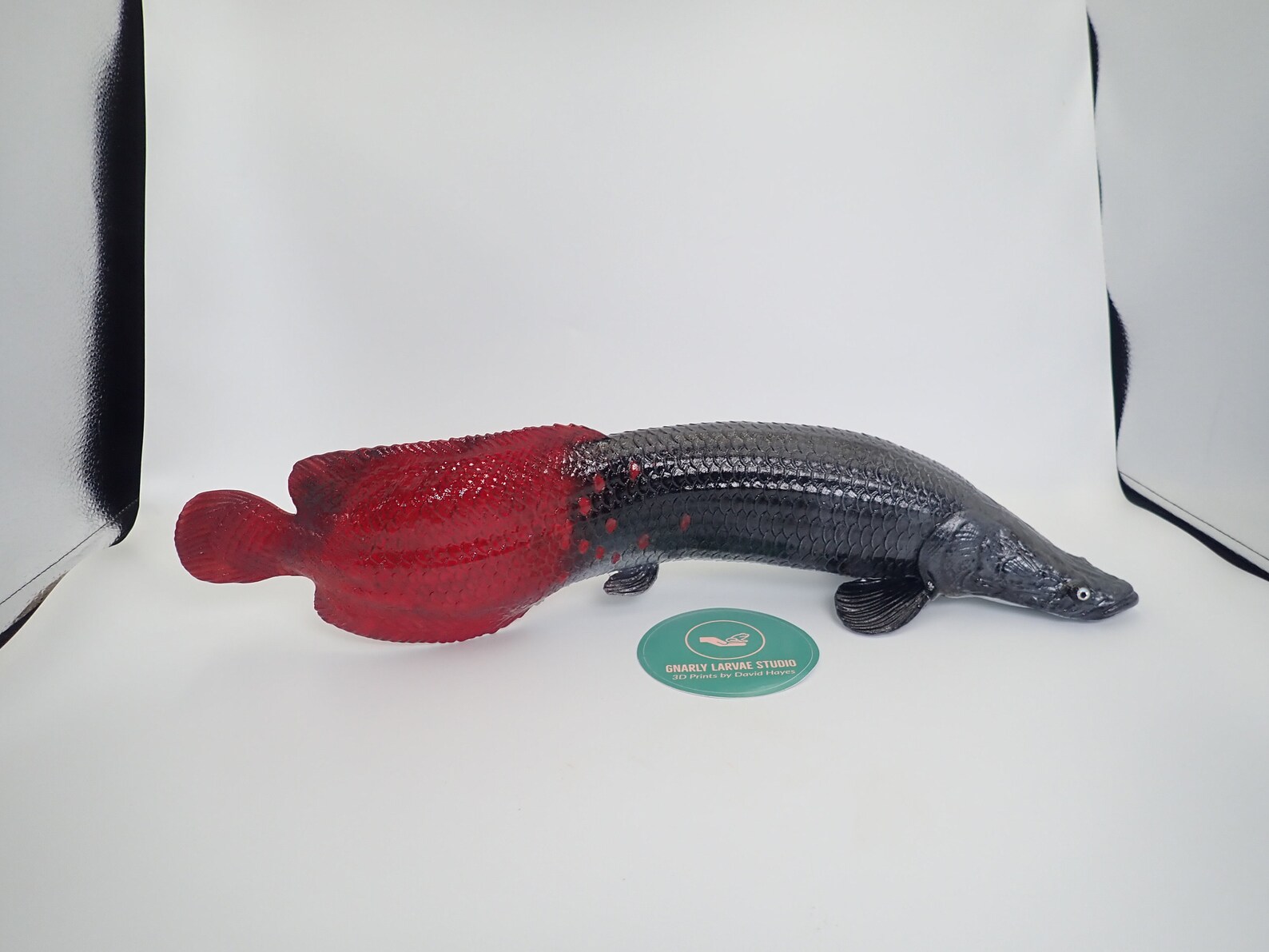 Arapaima, Pirarucu, 3D Printed and Hand Painted Model, 18in - Etsy