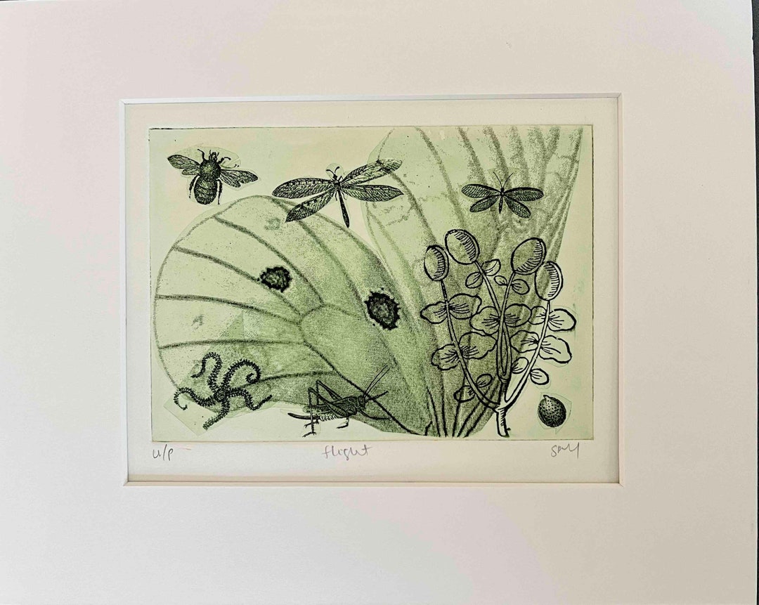 Solar Etching Prints - Etsy
