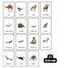 23 Desert Animals Montessori Cards Flash Cards Nomenclature Cards PDF ...