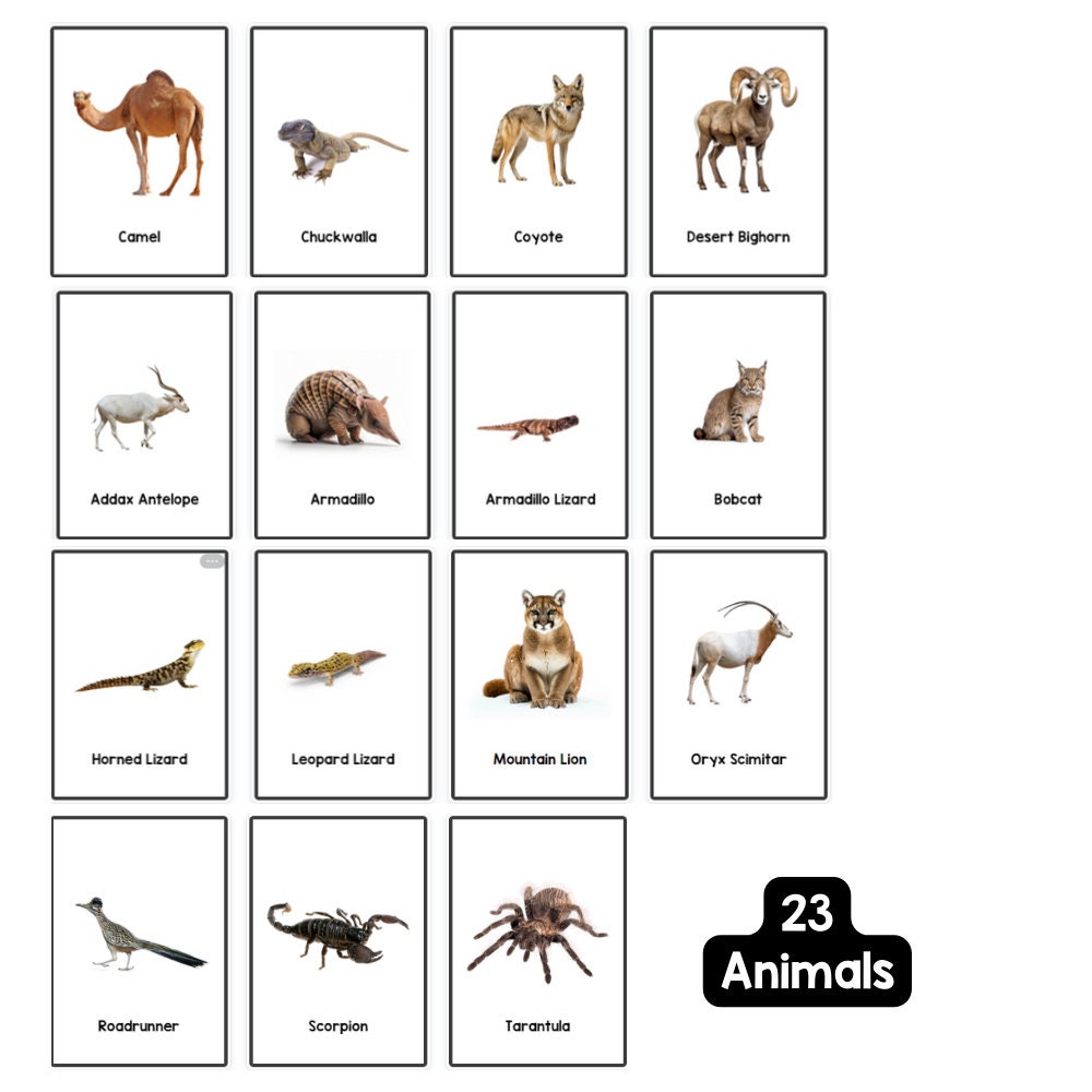 23 Desert Animals Montessori Cards Flash Cards Nomenclature Cards PDF ...