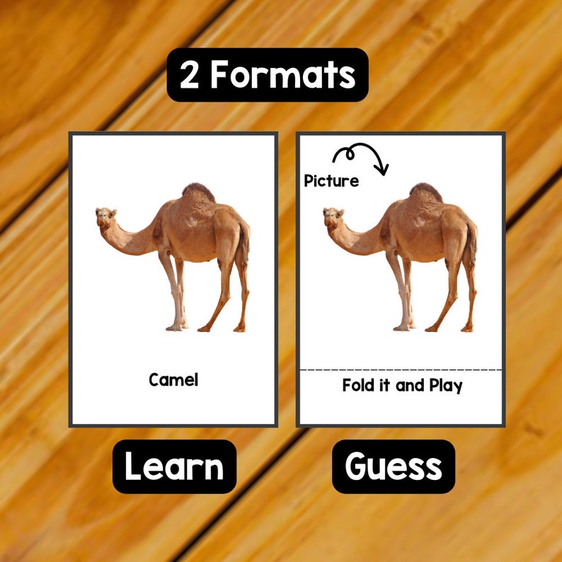 23 Desert Animals Montessori Cards Flash Cards Nomenclature Cards PDF ...