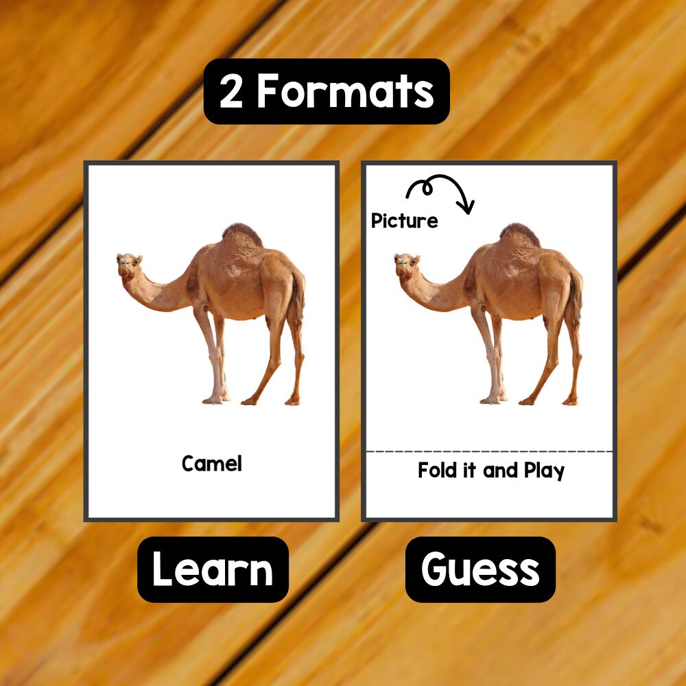 23 Desert Animals Montessori Cards Flash Cards Nomenclature Cards PDF ...