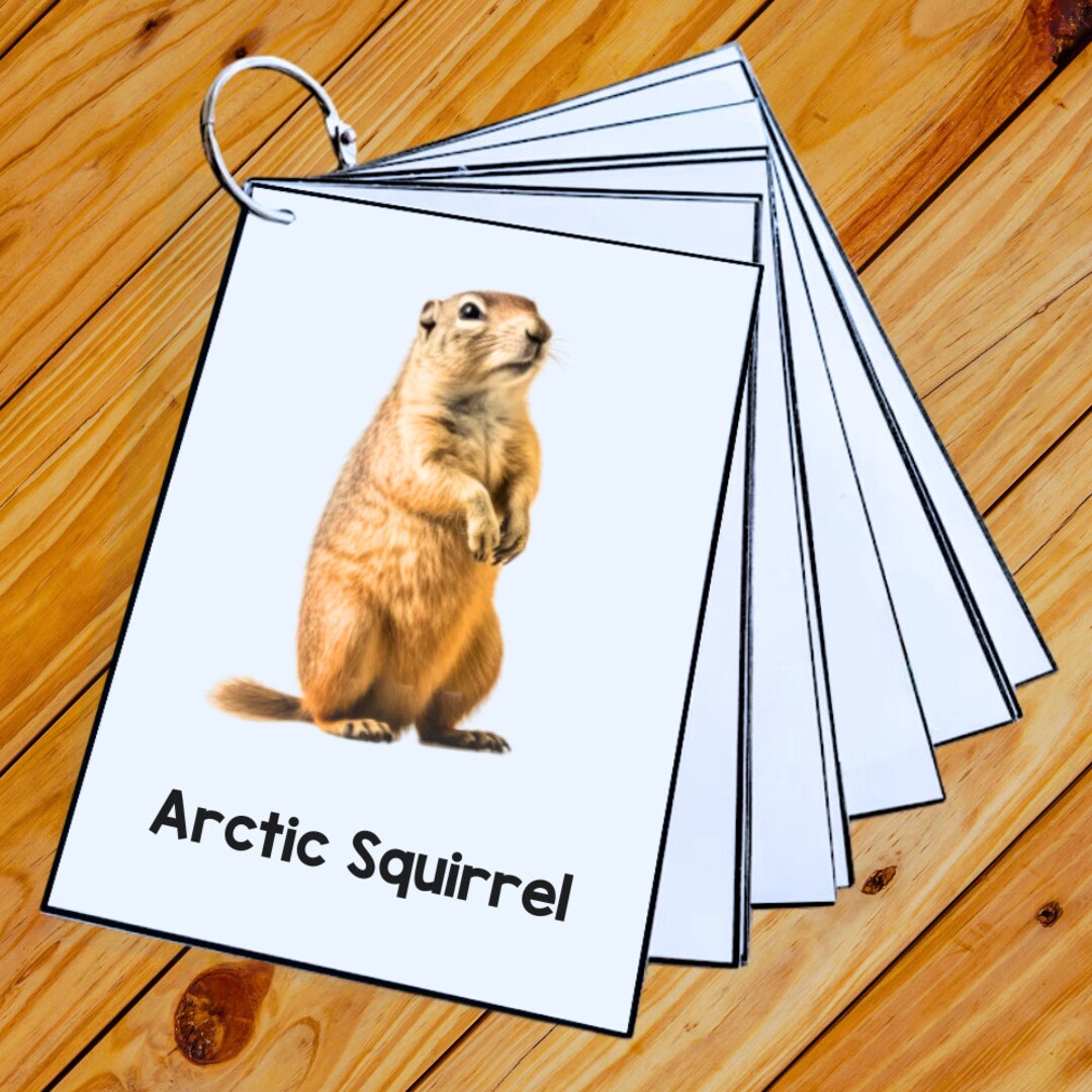 23 ARCTIC ANIMALS Montessori Cards Flash Cards Nomenclature Cards PDF ...