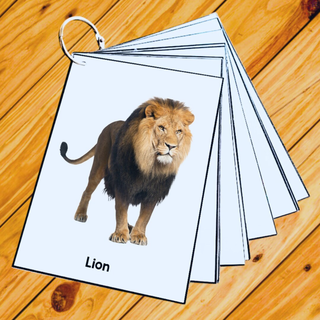 36 Safari Animals Montessori Cards Flash Cards Nomenclature Cards PDF ...