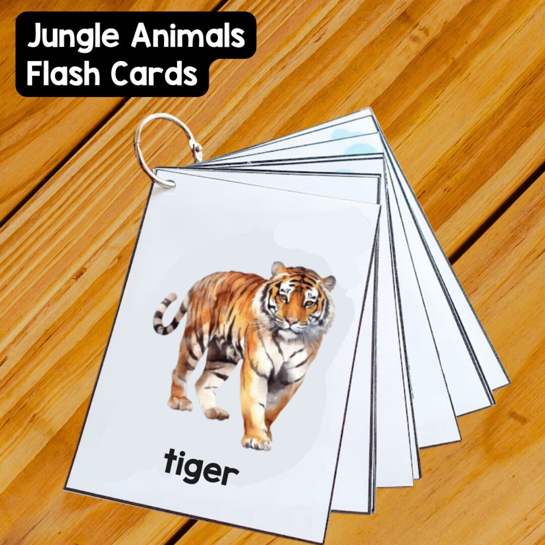 23 JUNGLE ANIMALS Flash Cards Editable Montessori Cards Flash Cards ...