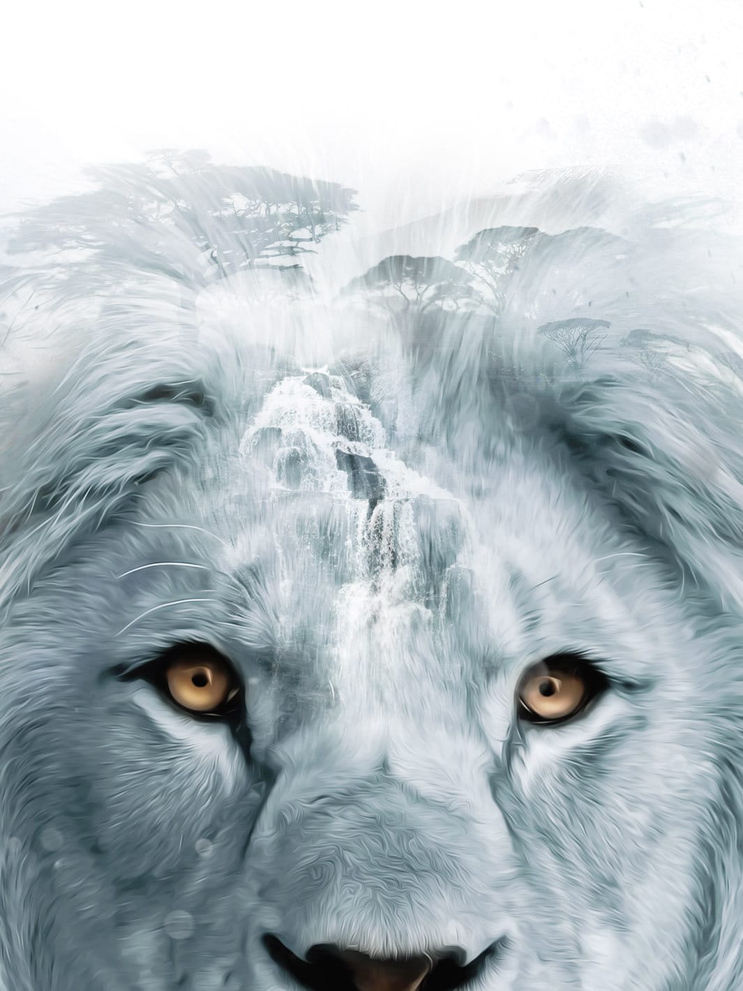Lion in Snow / White Lion in Wildness,animals Print, Snow Animals, Room ...