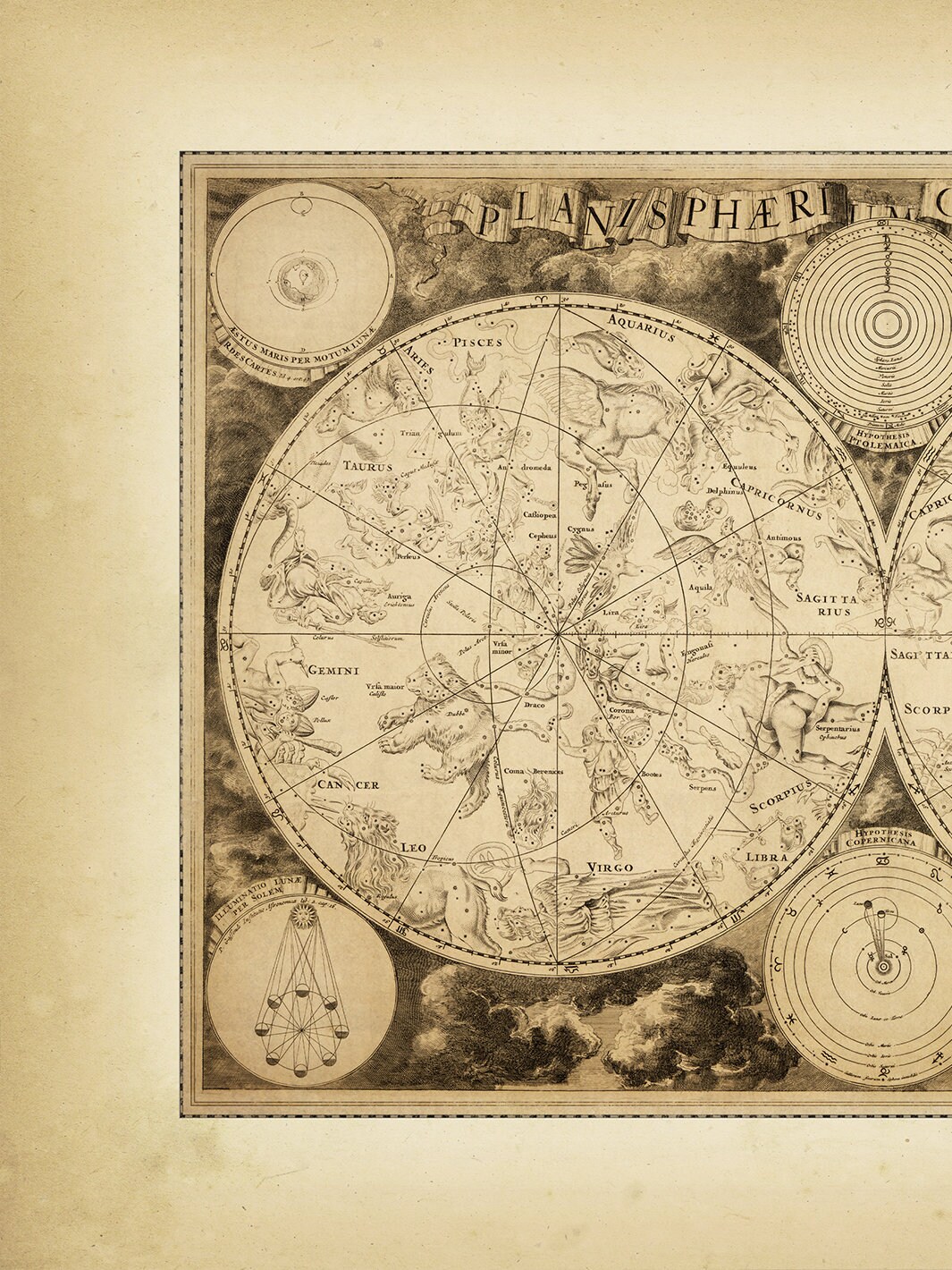 Planisphaerium Coeleste Vintage 1850, Zodiac Signs Poster Print ...