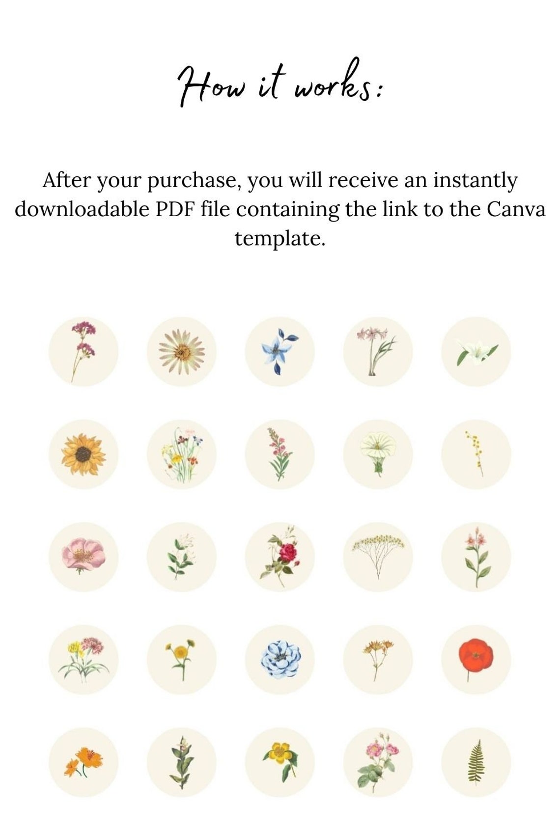 25 Editable Instagram Highlight Covers | Botanical Highlight Cover ...