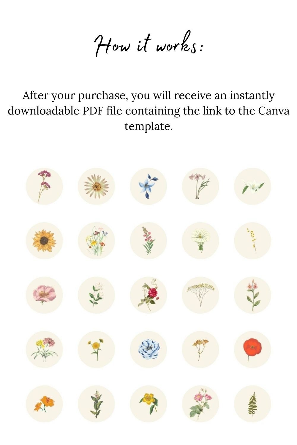 25 Editable Instagram Highlight Covers | Botanical Highlight Cover ...