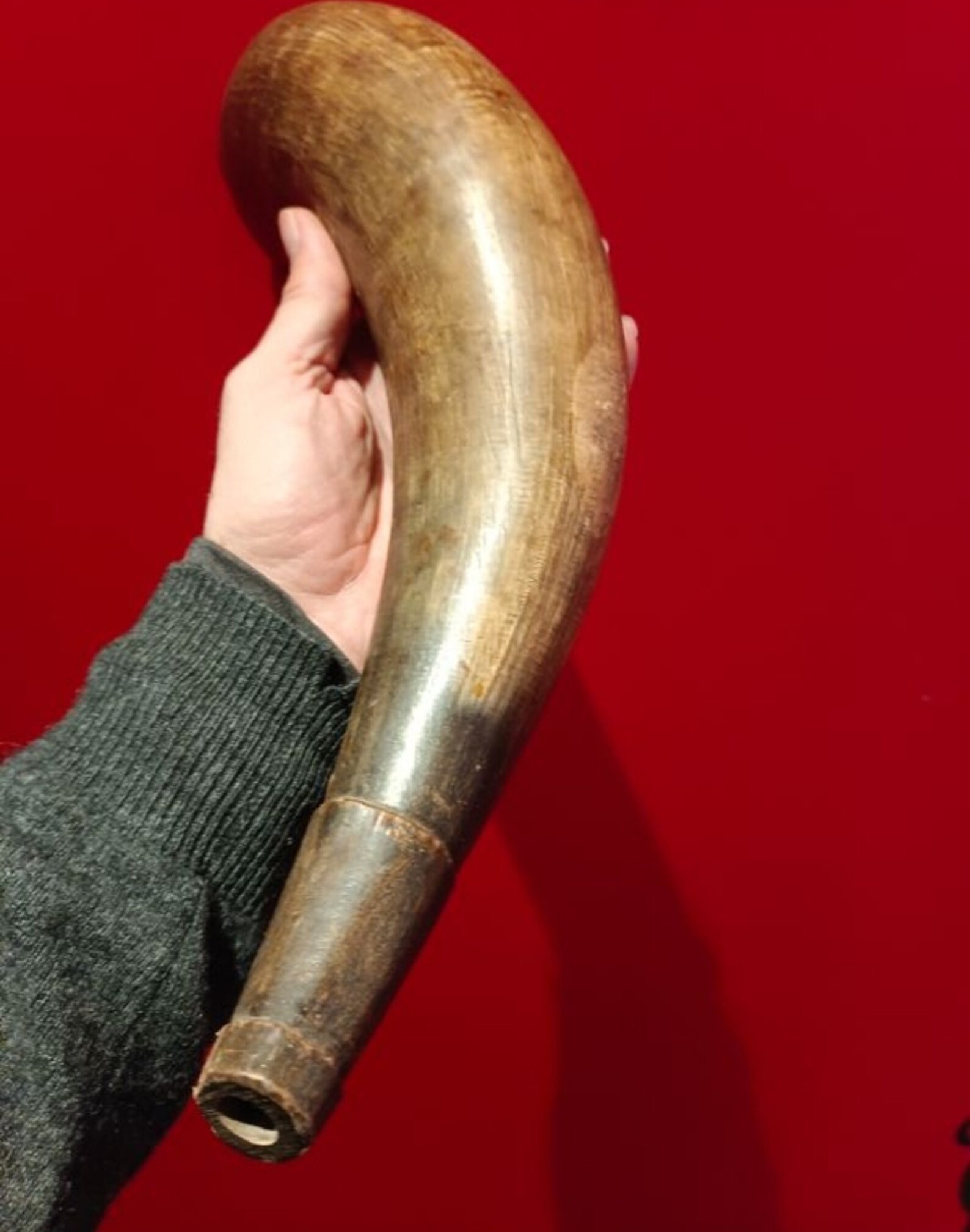 Vintage AMERICAN HORN ANTIQUE Sculpture, 19th Century Signed Horn by ...