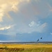 Salt Marsh Landscape Wall Art Vintage Post Impressionism Art Style ...