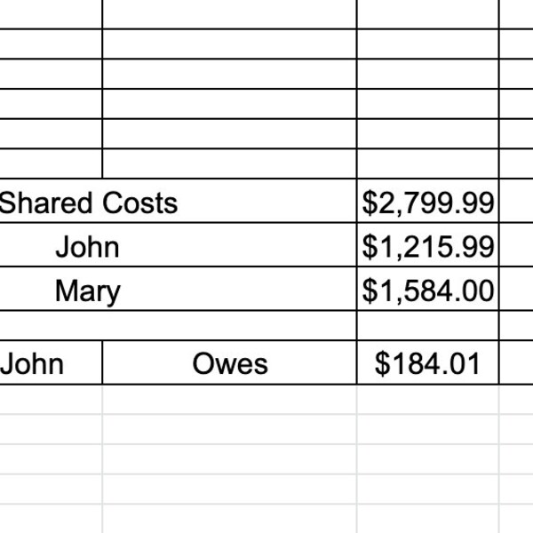 Shared Expense Spreadsheet - Etsy