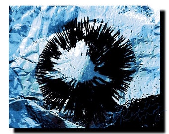 Spore Prints of North American Mushrooms Poster 3 Color Options Natural ...