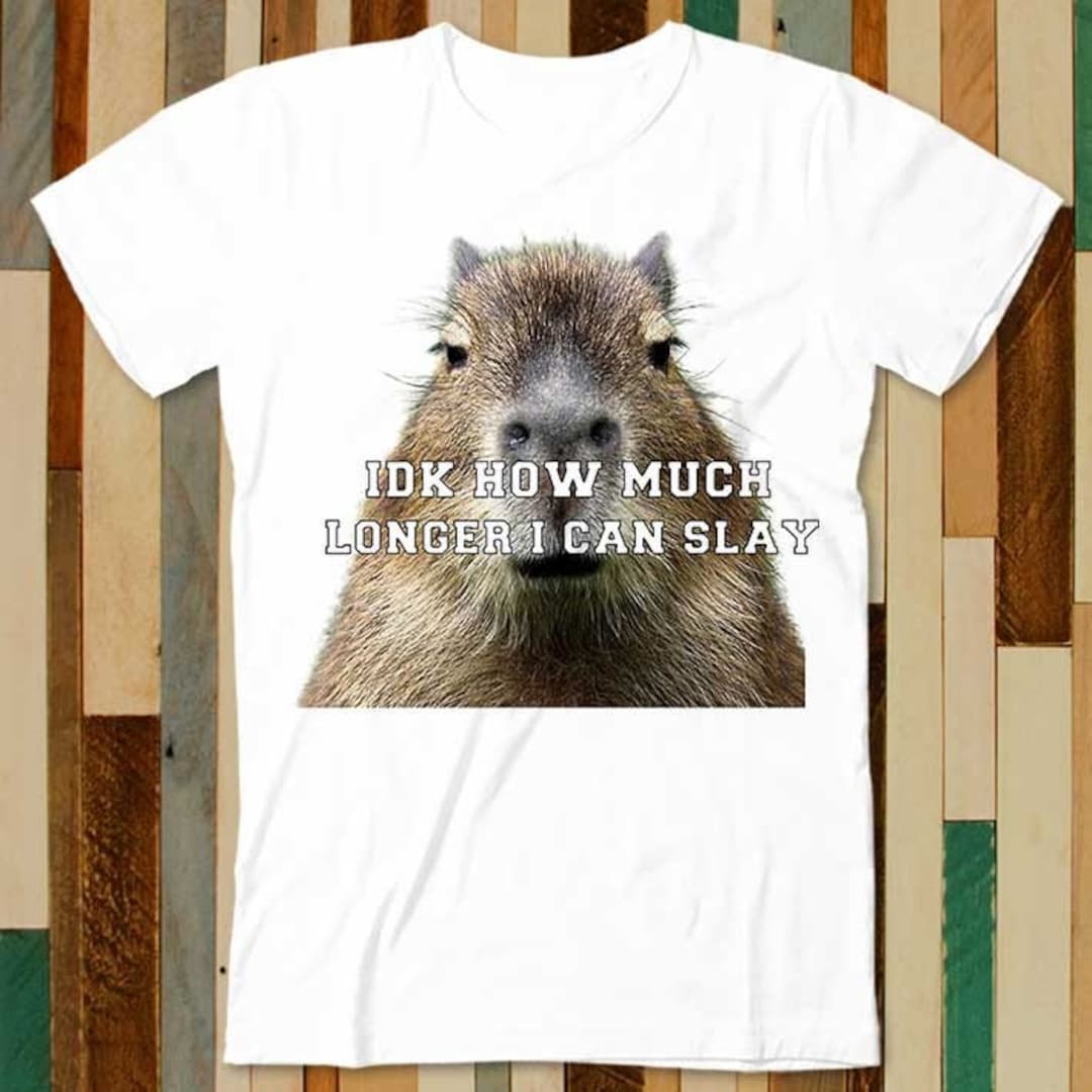 Idk How Much Longer I Can Slay Capybara Sarcastic Dank Meme T Shirt ...