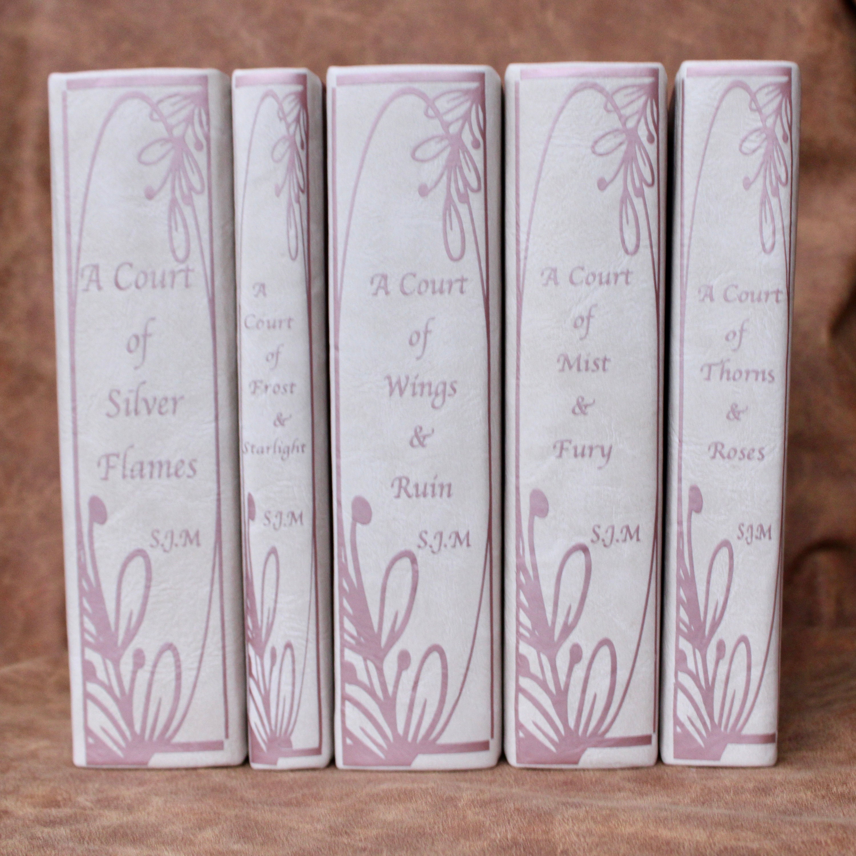 Complete ACOTAR Series Gift Set Ideal Gift for Bookworms and Fantasy ...