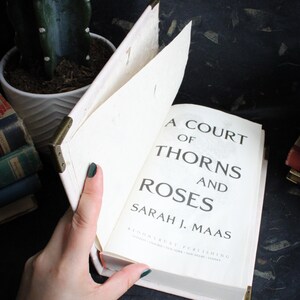 Complete ACOTAR Series Gift Set Ideal Gift for Bookworms and Fantasy ...