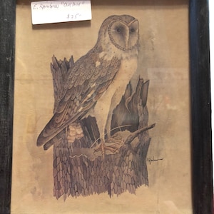 Vintage Wise Old Owl Lithograph Print Signed E Rambow/ Beautiful Barn ...